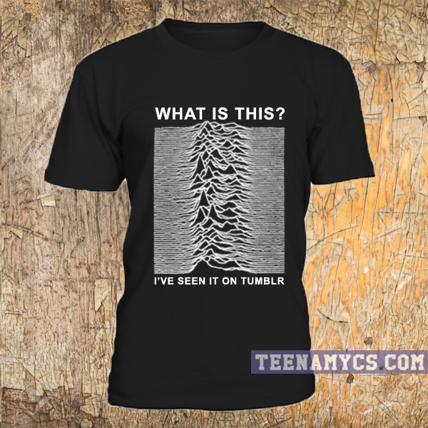 Joy division I've seen it on tumblr t-shirt - teenamycs